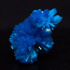 Very Rare Formation of Dark Blue Cavansite Bowtie Cluster non-precious ...