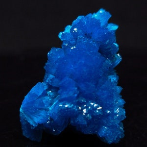 Very Rare Formation of Dark Blue Cavansite Bowtie Cluster non-precious ...