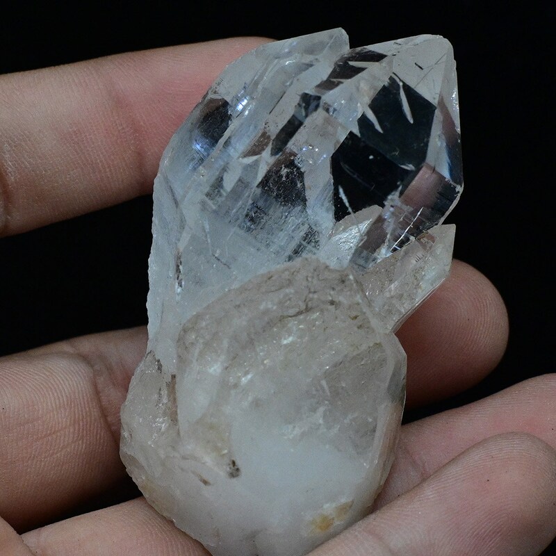 Himalaya Dolphin Baby - Etsy