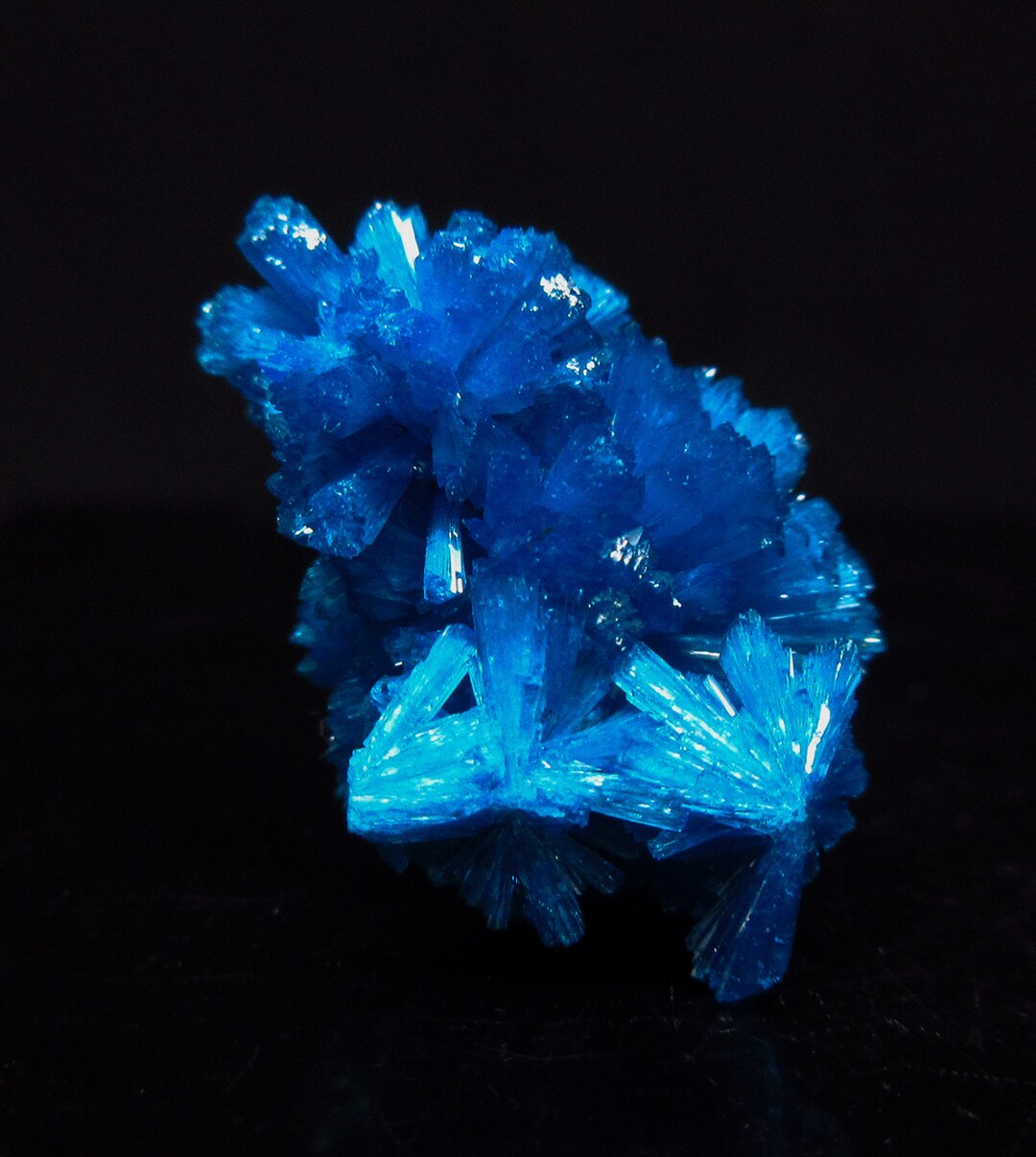 Very Rare Formation of Dark Blue Cavansite Bowtie Cluster non-precious ...