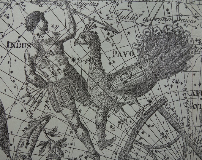 Antique ASTRONOMY Print Old Star Chart Vintage Astrology Map - Etsy