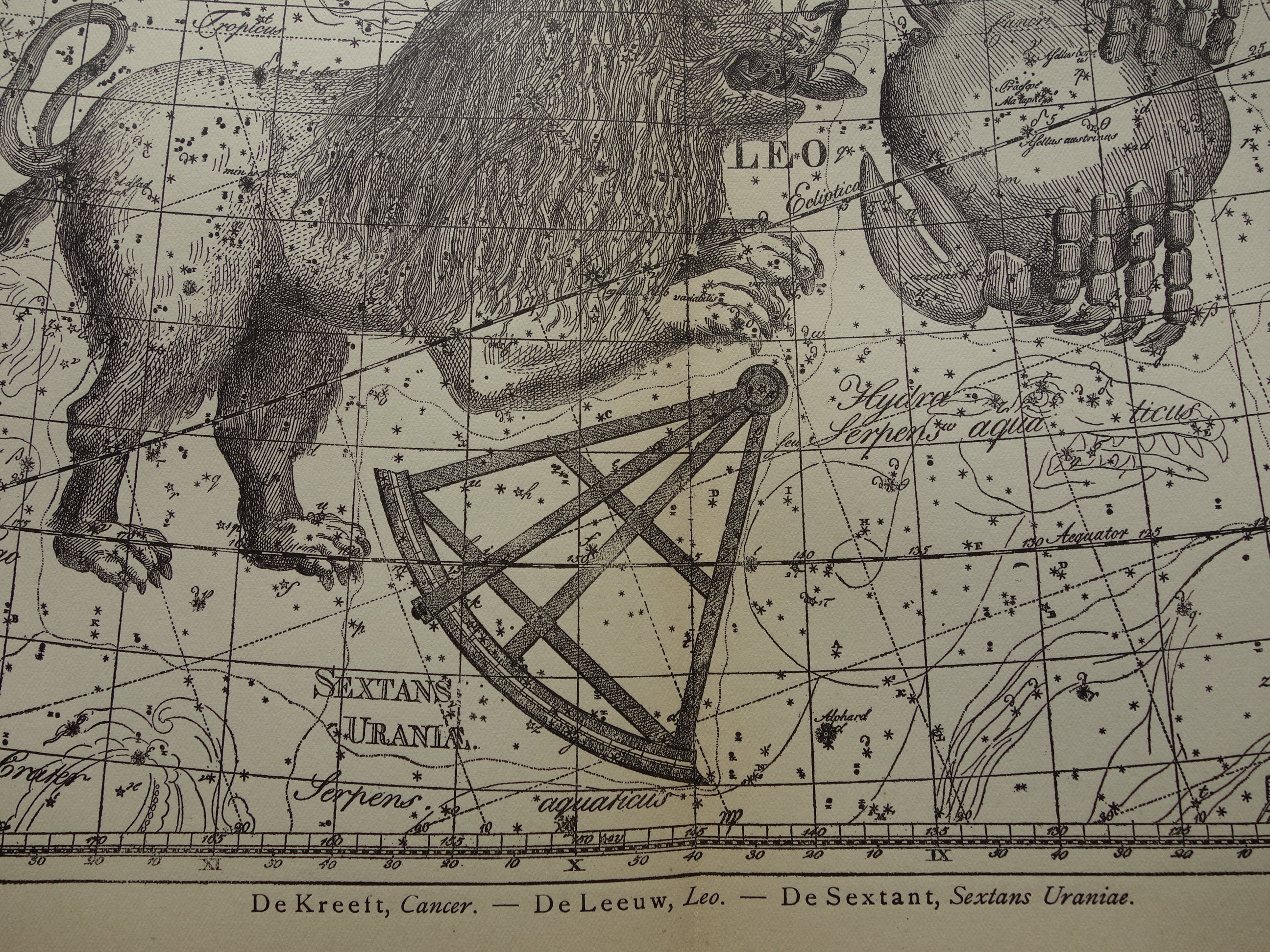 ASTROLOGY Antique Print Old Star Chart Vintage Astronomy Poster of Leo ...