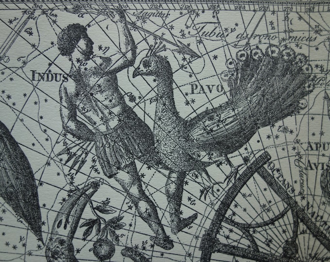 Antique ASTRONOMY Print Old Star Chart Vintage Astrology Map | Etsy