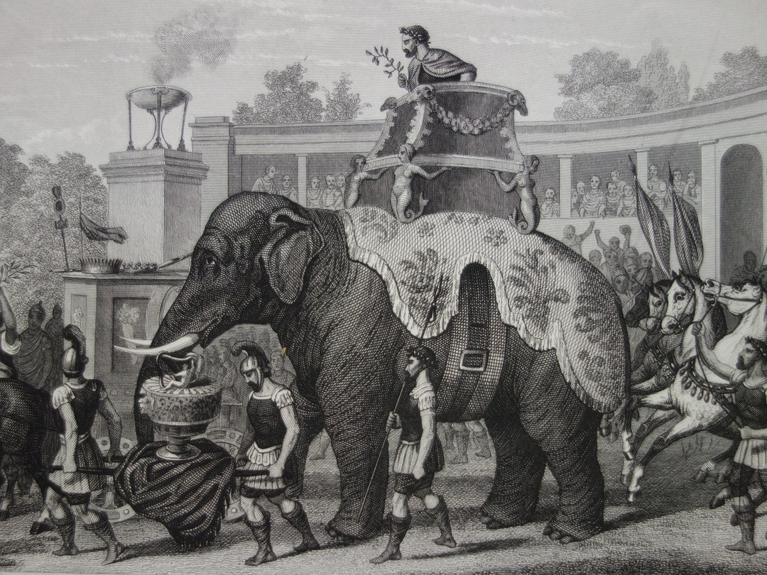 Roman War Elephant Antique Military Print About Roman Army Victory ...