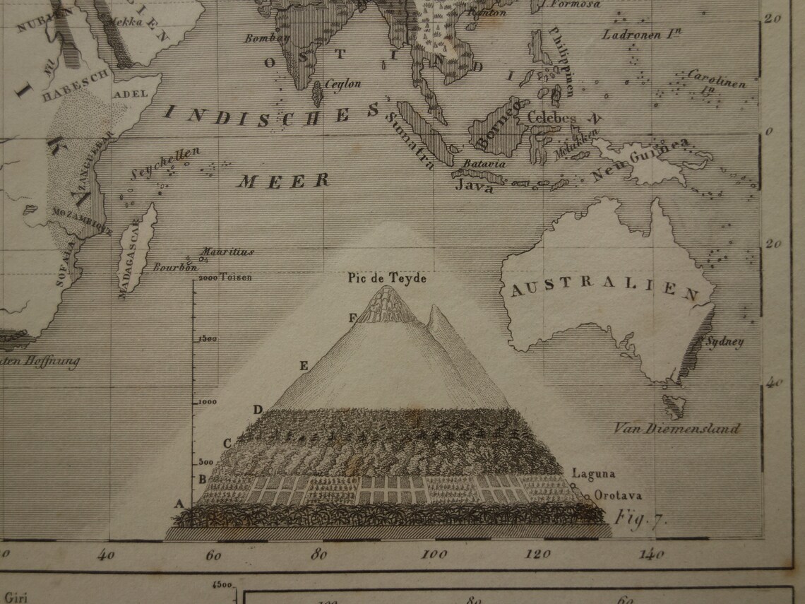 1849 Original Antique World Map Old Worldmap About Crops Illustrated ...