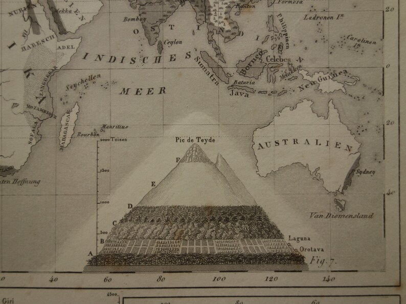 1849 Original Antique World Map Old Worldmap About Crops Illustrated ...