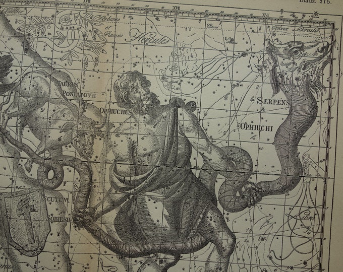 Old Star Chart Dutch Vintage Astronomy Print of Aquila Eagle - Etsy