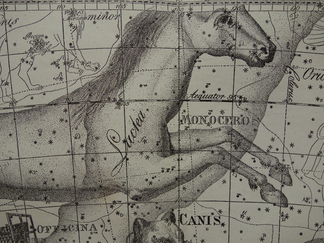 Old Star Chart Dutch Vintage Astronomy Map of Unicorn Argo Rabbit Lepus ...