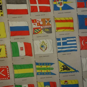 FLAGS Old Print of Flags 1879 Original Antique Flag | Etsy