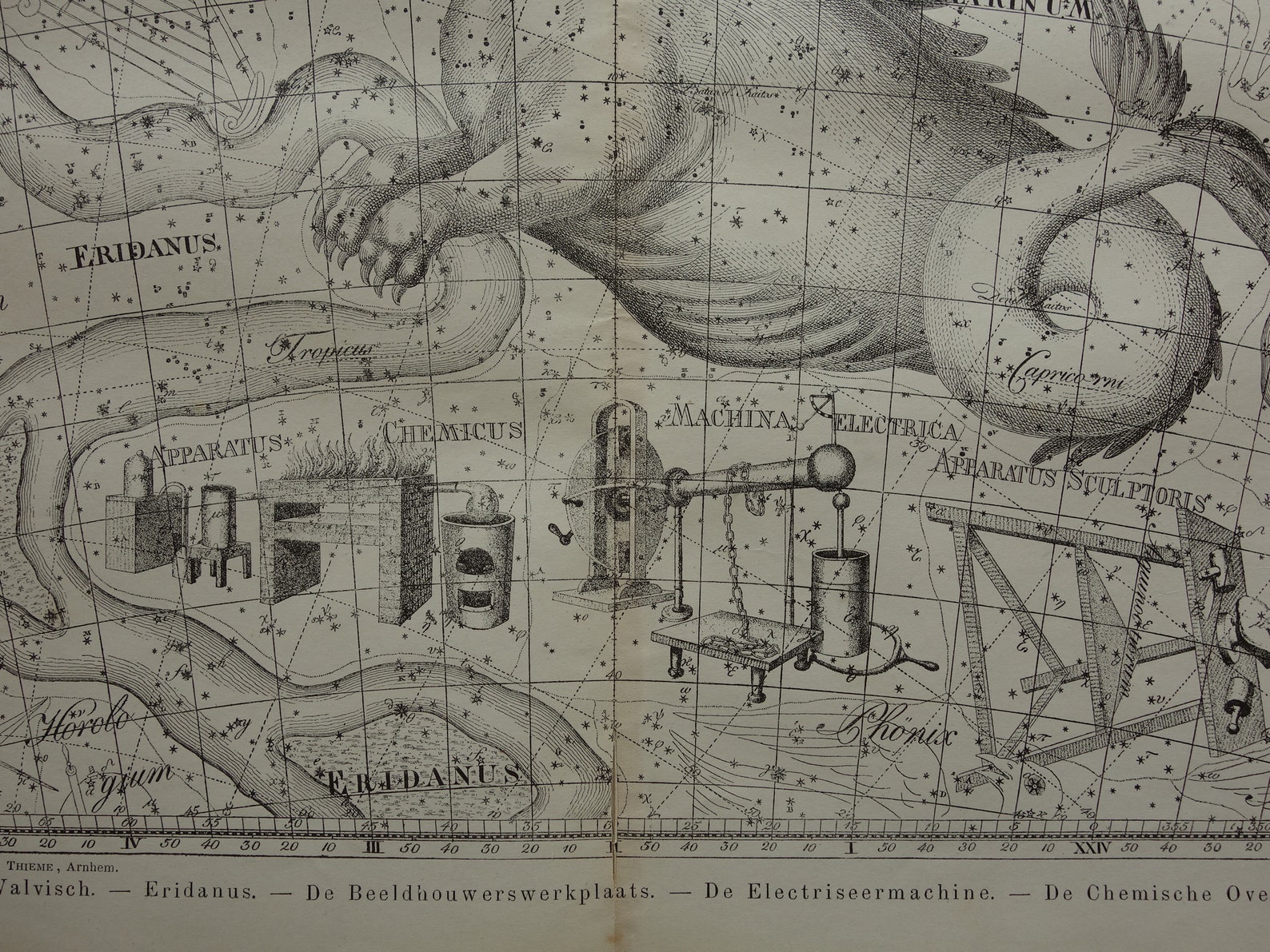 Old Star Chart Dutch Vintage Astronomy Print of Cetus Whale - Etsy