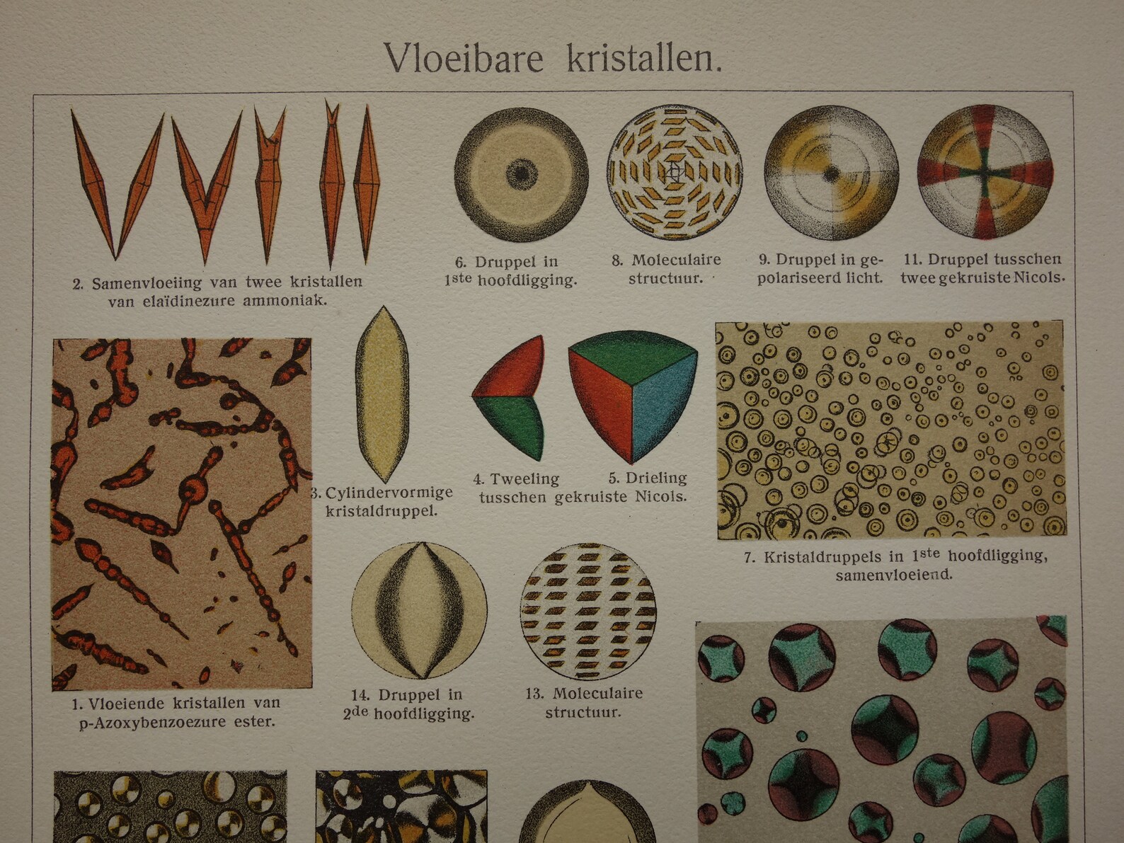 LIQUID CRYSTALS Old Dutch Science Print With Pictures of - Etsy