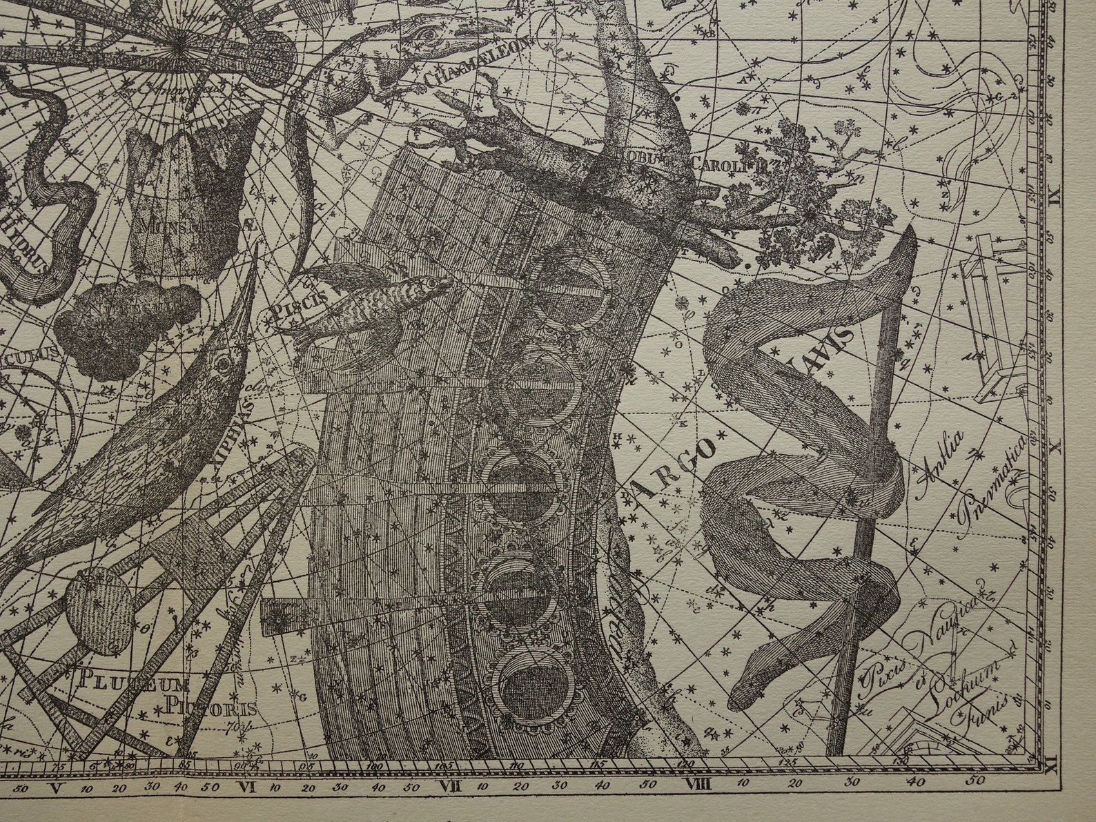 Antique ASTRONOMY Print Old Star Chart Vintage Astrology Map Poster of ...