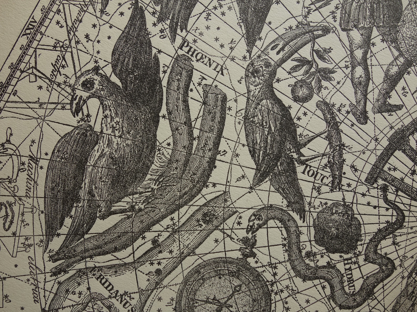 Antique ASTRONOMY Print Old Star Chart Vintage Astrology Map Poster of ...