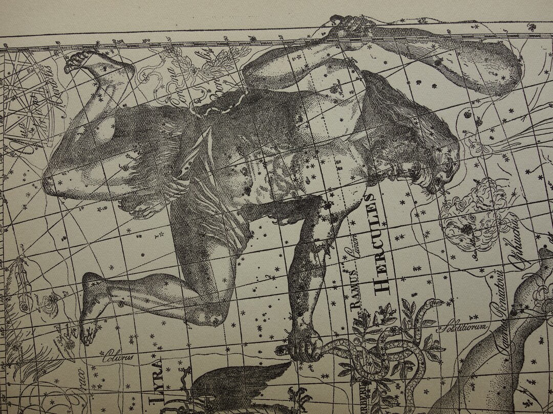 Old Star Chart Dutch Vintage Astronomy Print of Swan Cygnus Milky Way ...