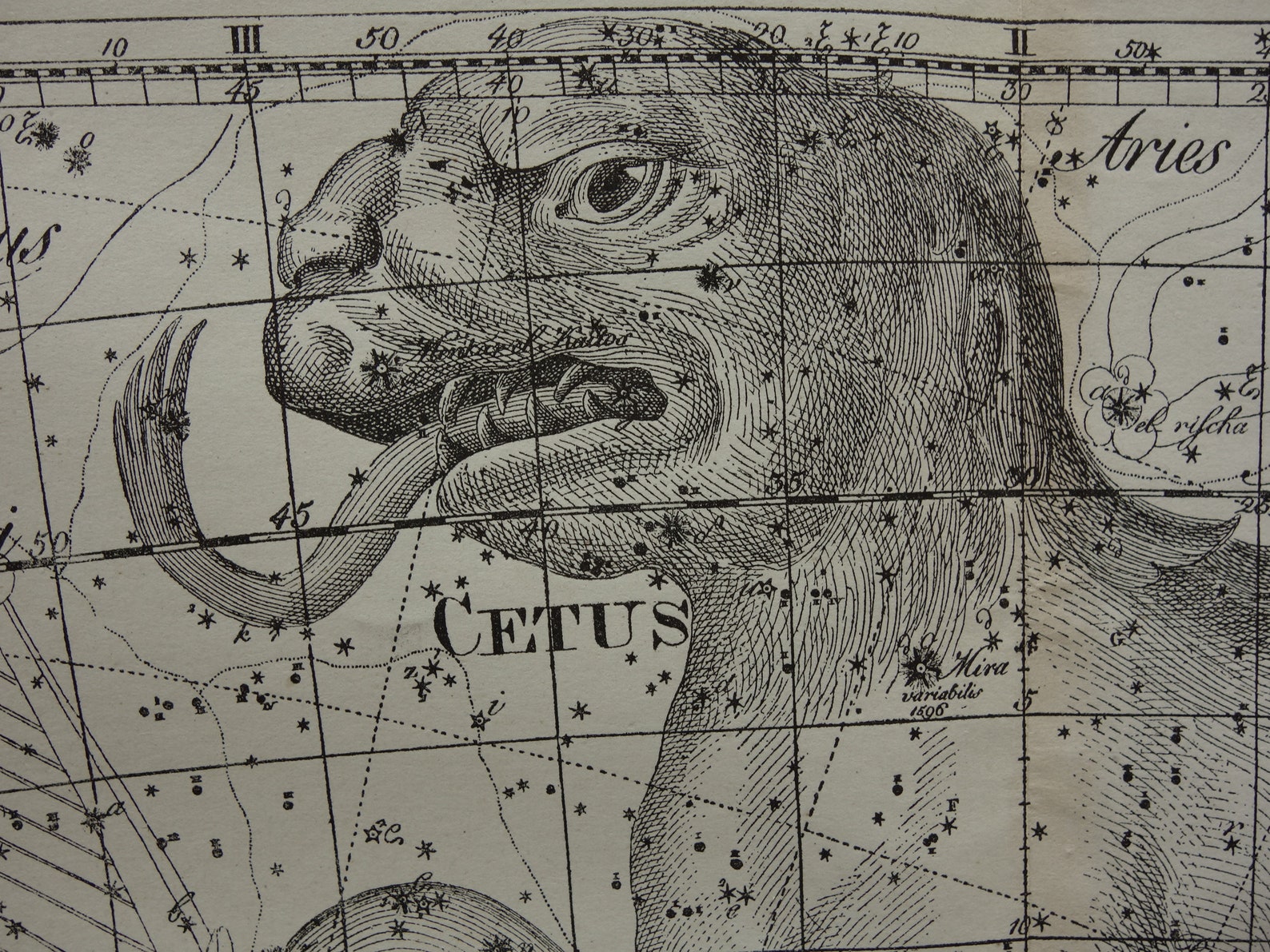 Old Star Chart Dutch Vintage Astronomy Print of Cetus Whale - Etsy