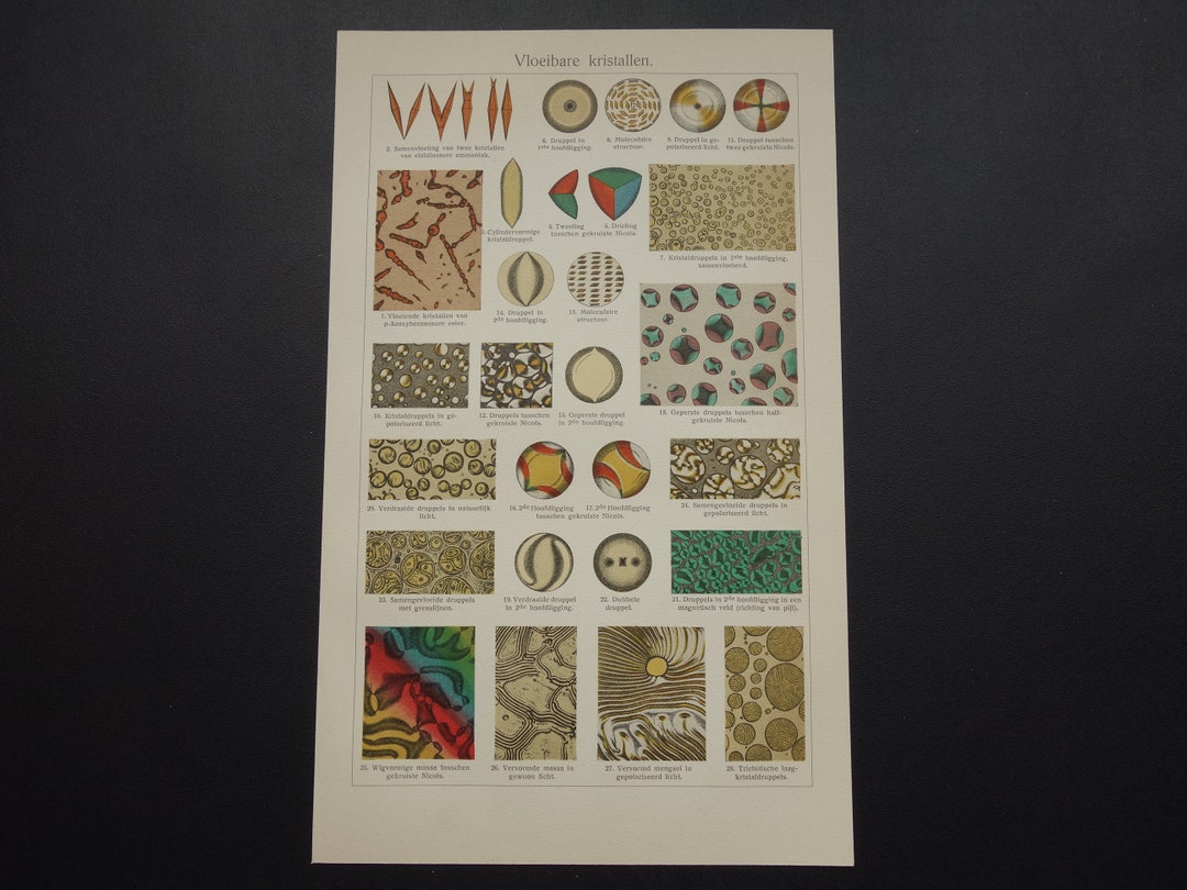 LIQUID CRYSTALS Old Dutch Science Print With Pictures of Lc's Antique ...