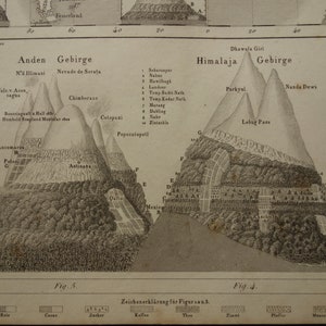 1849 Original Antique World Map Old Worldmap About Crops Illustrated ...