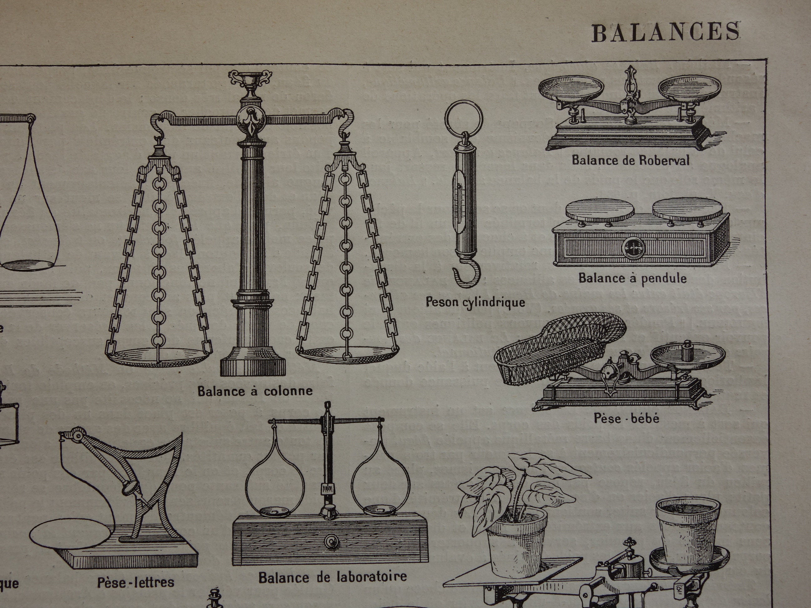 Balance Scales Sketch
