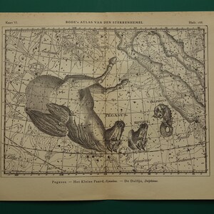 Antique ASTROLOGY Print Old Star Chart Dutch Vintage Astronomy - Etsy