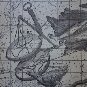 Antique Astrology Print Old Star Chart Vintage Astronomy Map - Etsy