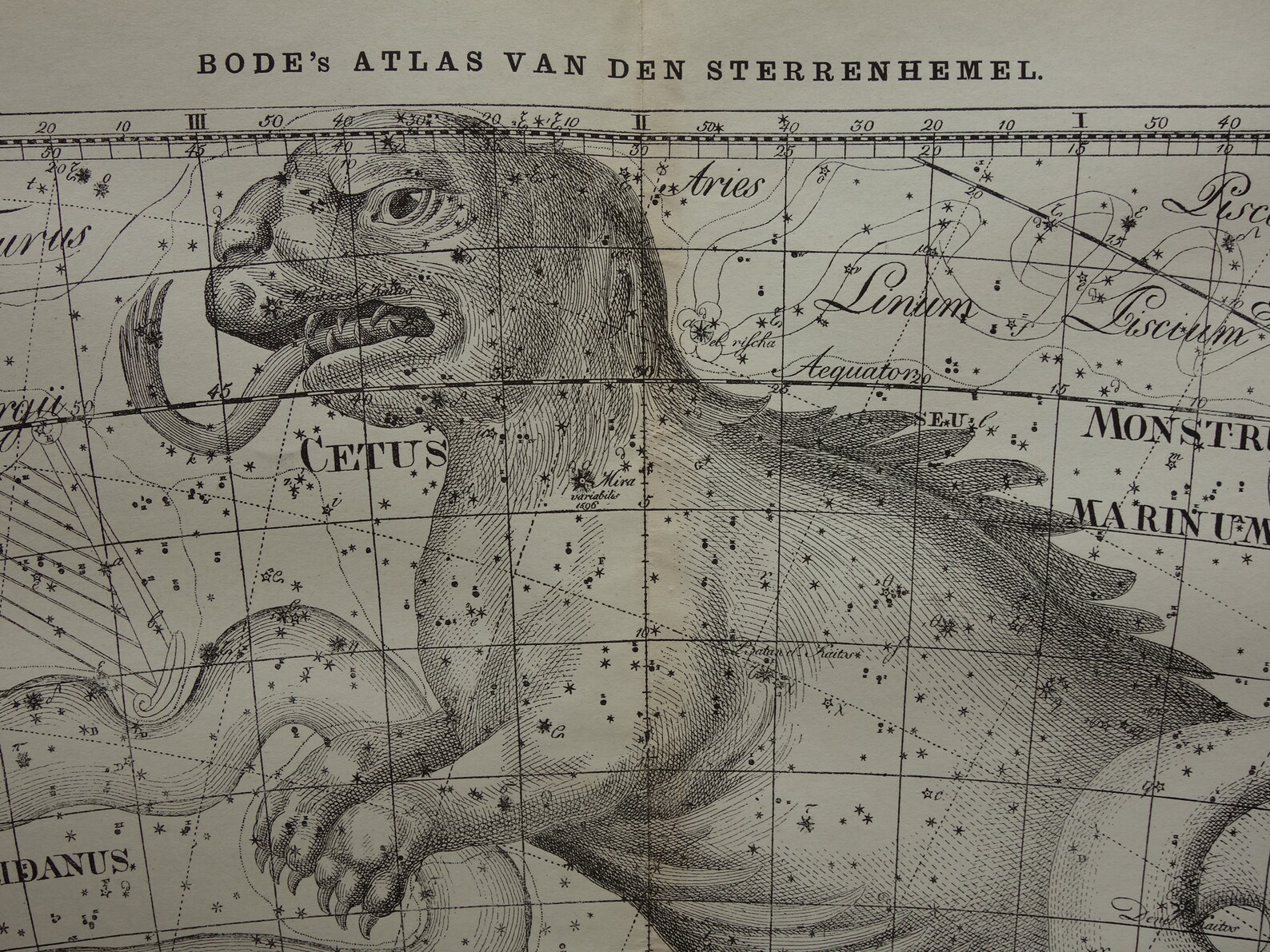 Old Star Chart Dutch Vintage Astronomy Print of Cetus Whale - Etsy