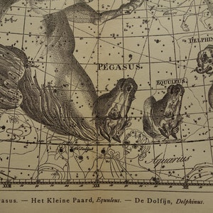 Antique ASTROLOGY Print Old Star Chart Dutch Vintage Astronomy - Etsy