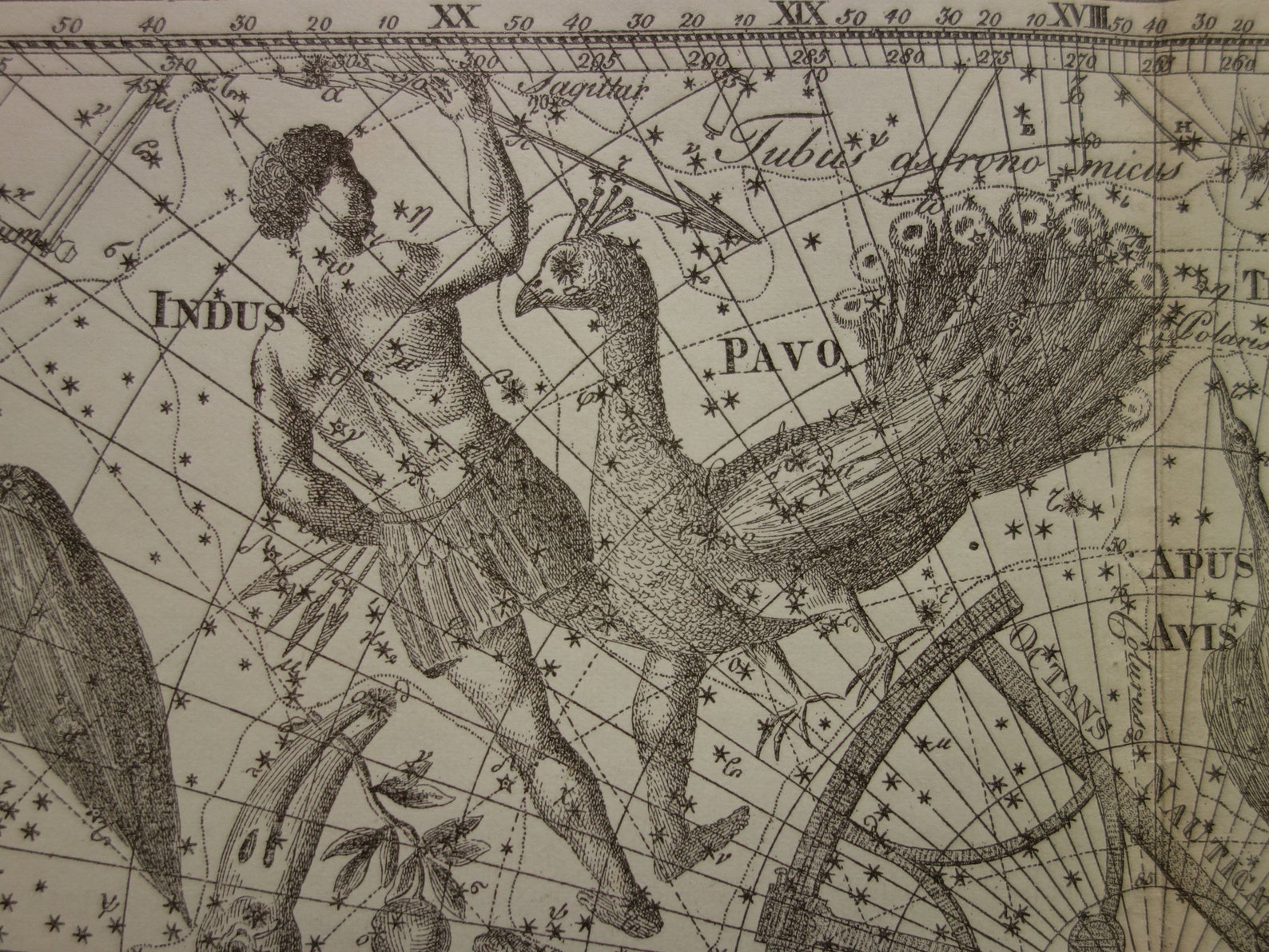 Antique ASTRONOMY print old star chart vintage astrology map | Etsy