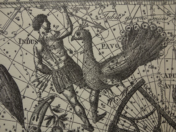 Pavo Constellation Star Map