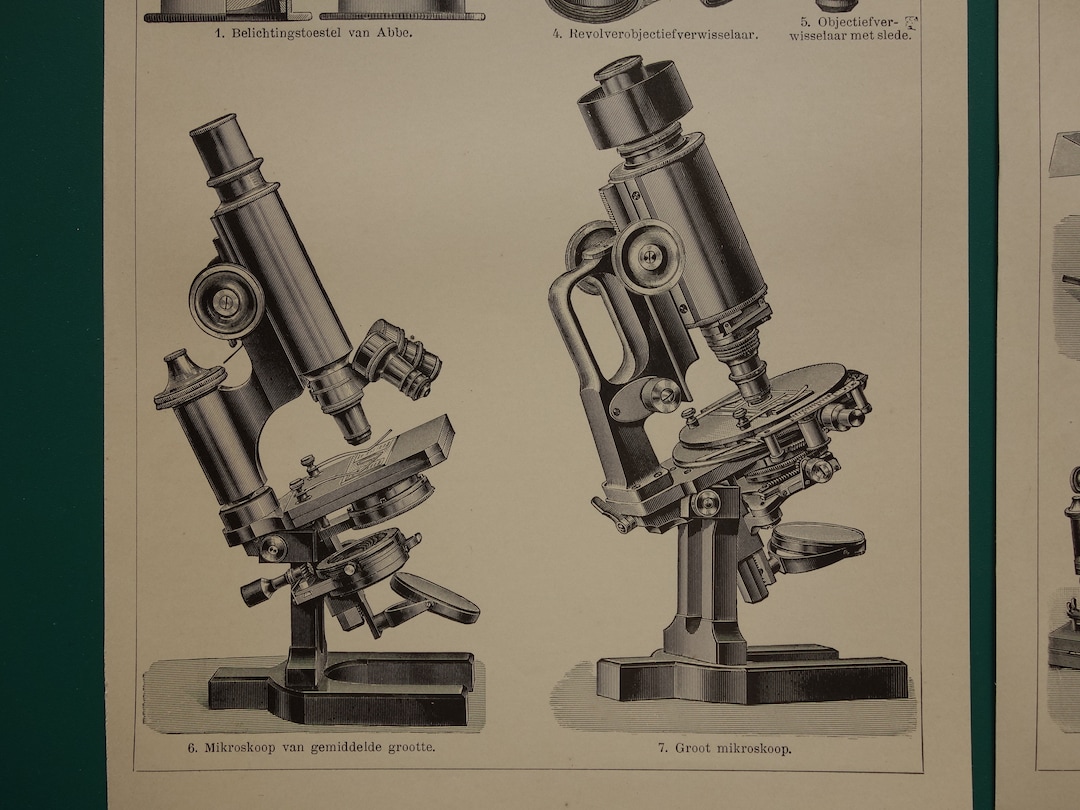 MICROSCOPE Old Science Print of Microscopes 1909 Antique Dutch ...
