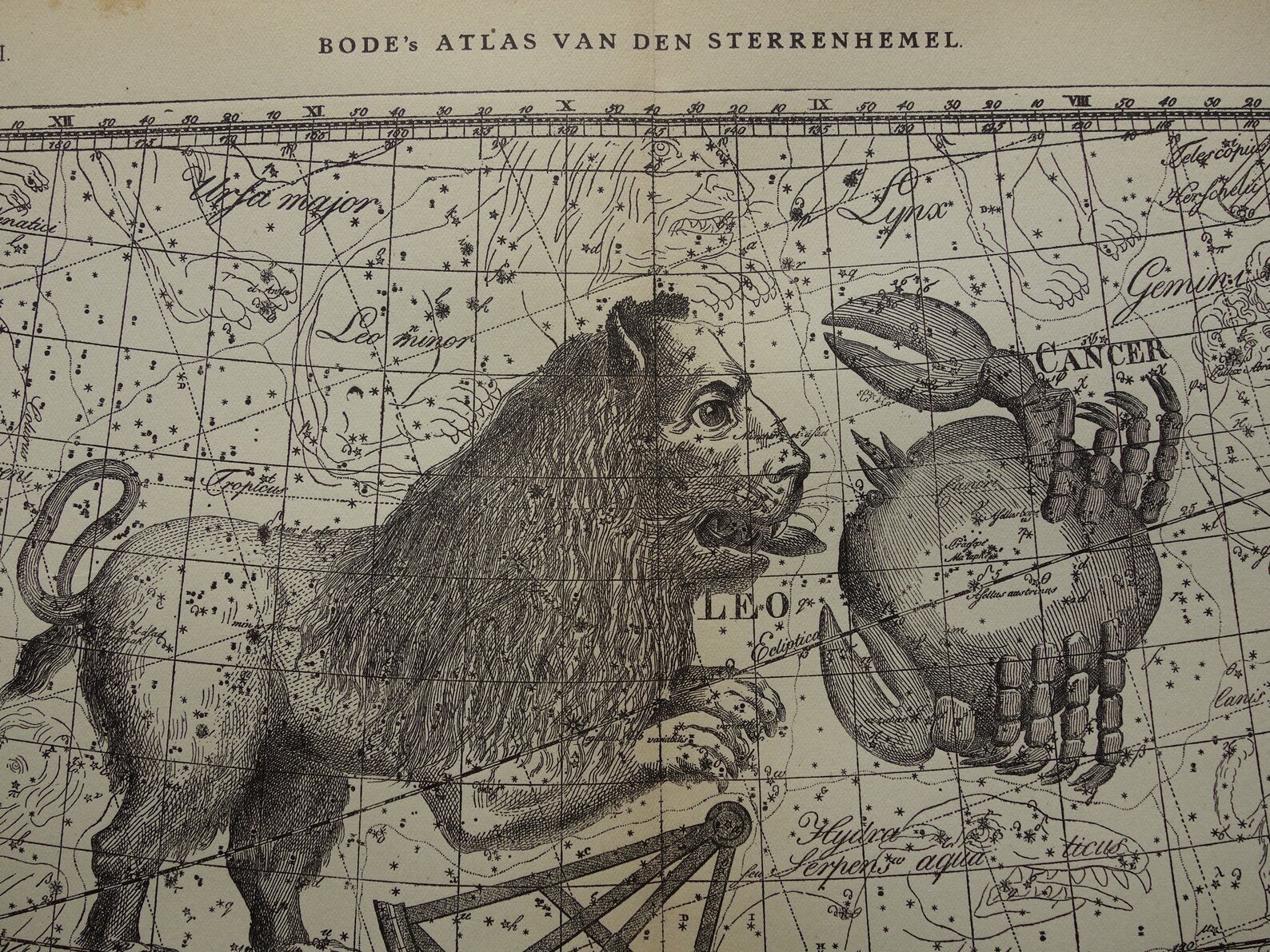 ASTROLOGY Antique Print Old Star Chart Vintage Astronomy Poster of Leo ...