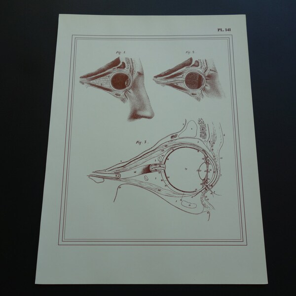 Eye Doctor Plate - Etsy