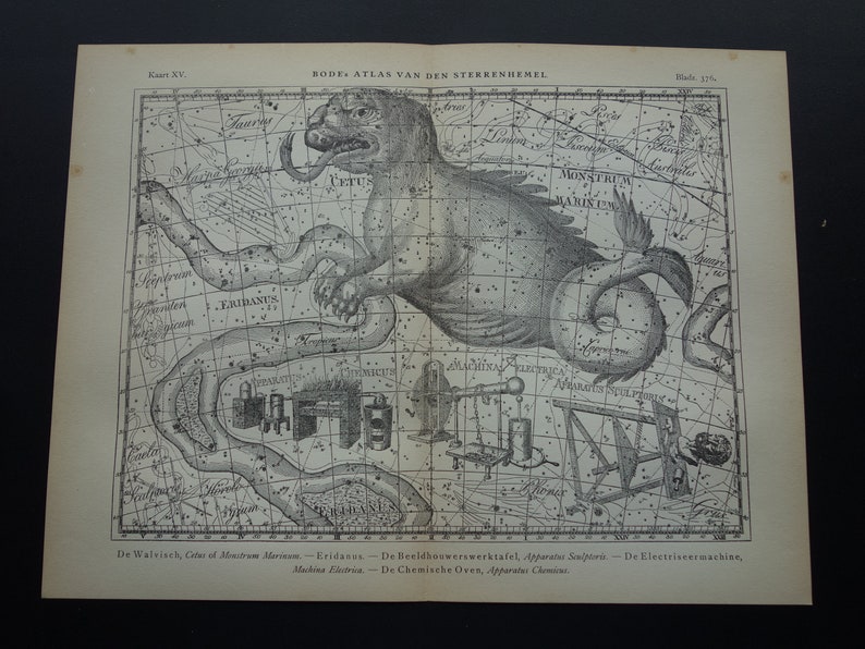 Old Star Chart Dutch Vintage Astronomy Print of Cetus Whale | Etsy