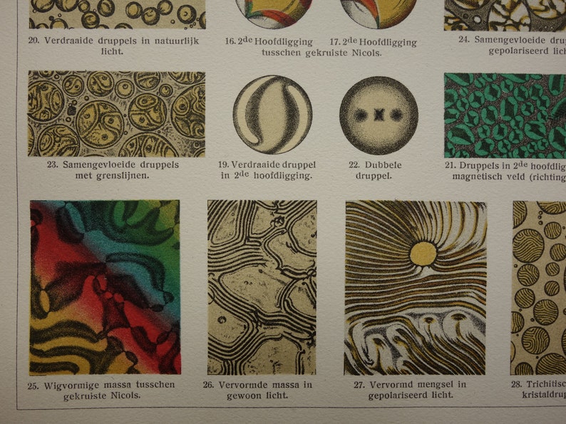 LIQUID CRYSTALS Old Dutch Science Print With Pictures of - Etsy