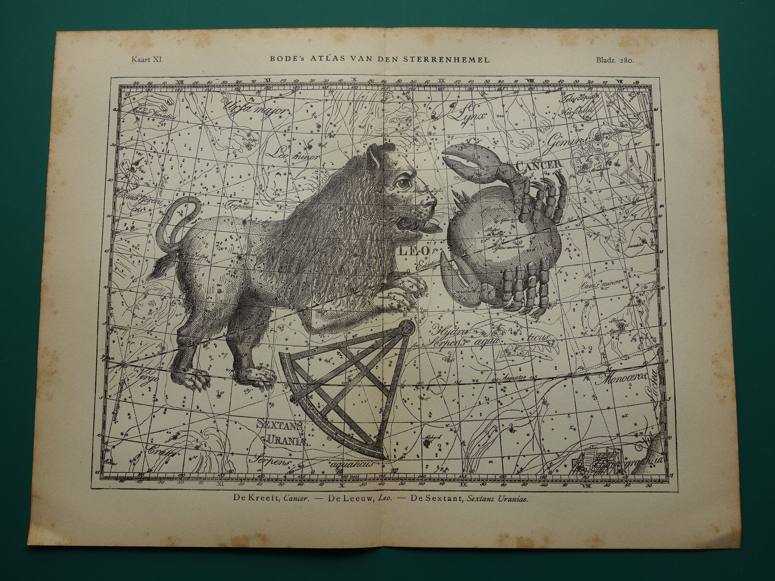 ASTROLOGY Antique Print Old Star Chart Vintage Astronomy Poster of Leo ...