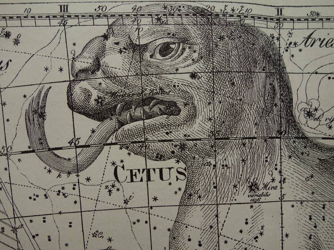 Old Star Chart Dutch Vintage Astronomy Print of Cetus Whale Eridanus ...