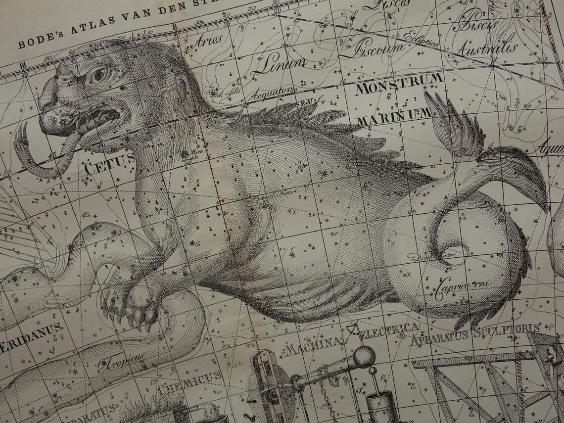 Old Star Chart Dutch Vintage Astronomy Print of Cetus Whale - Etsy