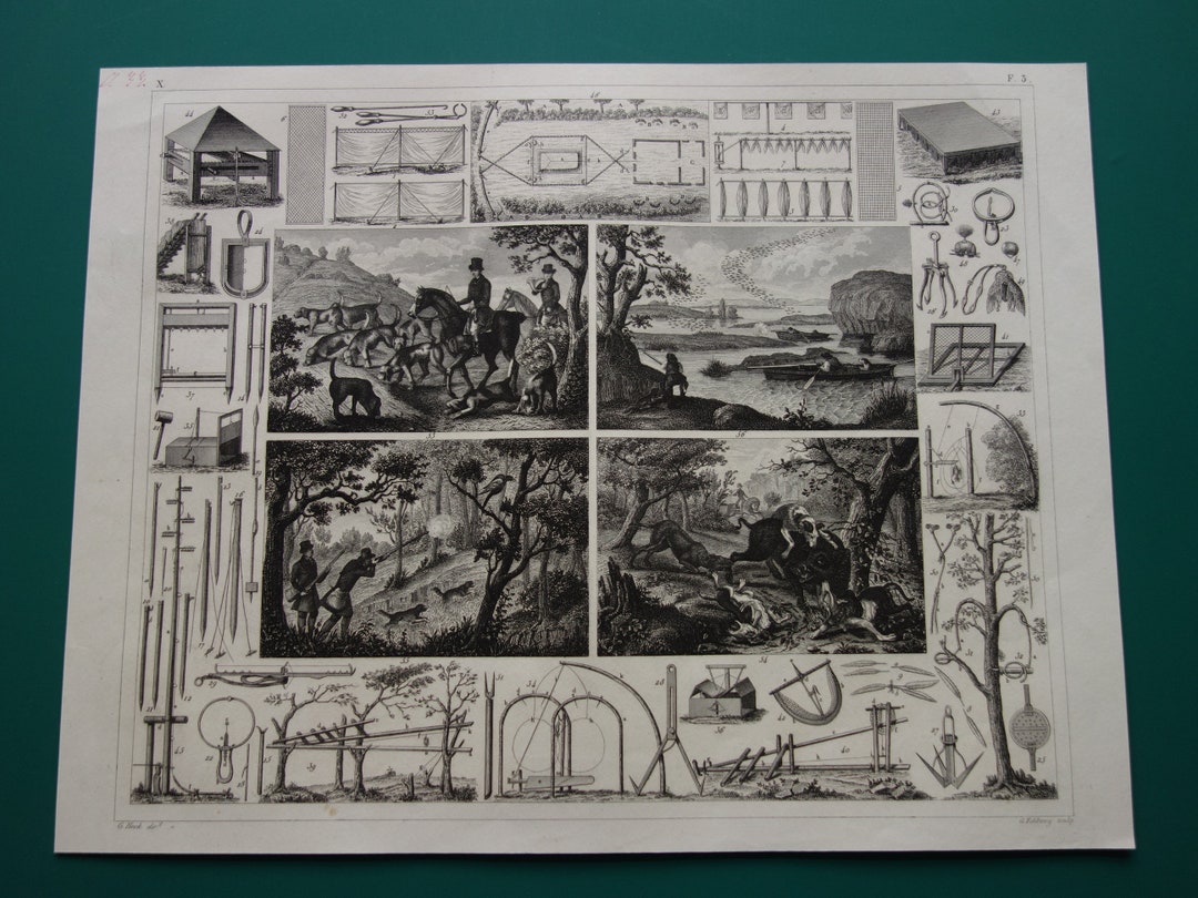 HUNTING Old Print of Hunt Traps Vintage Illustration Catching Fish ...