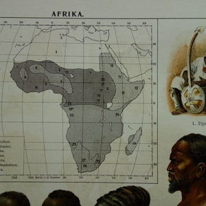 Large ETHNOLOGY Print of African Races 1909 Old Vintage Poster/antique ...