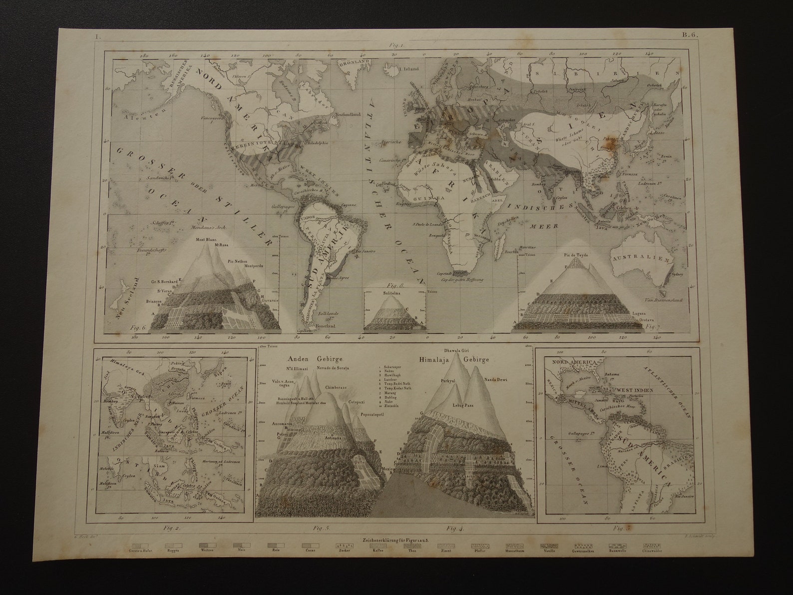 1849 Original Antique World Map Old Worldmap About Crops Illustrated ...