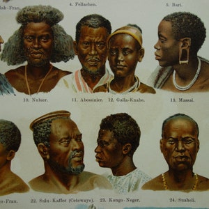 Large ETHNOLOGY Print of African Races 1909 Old Vintage Poster/antique ...