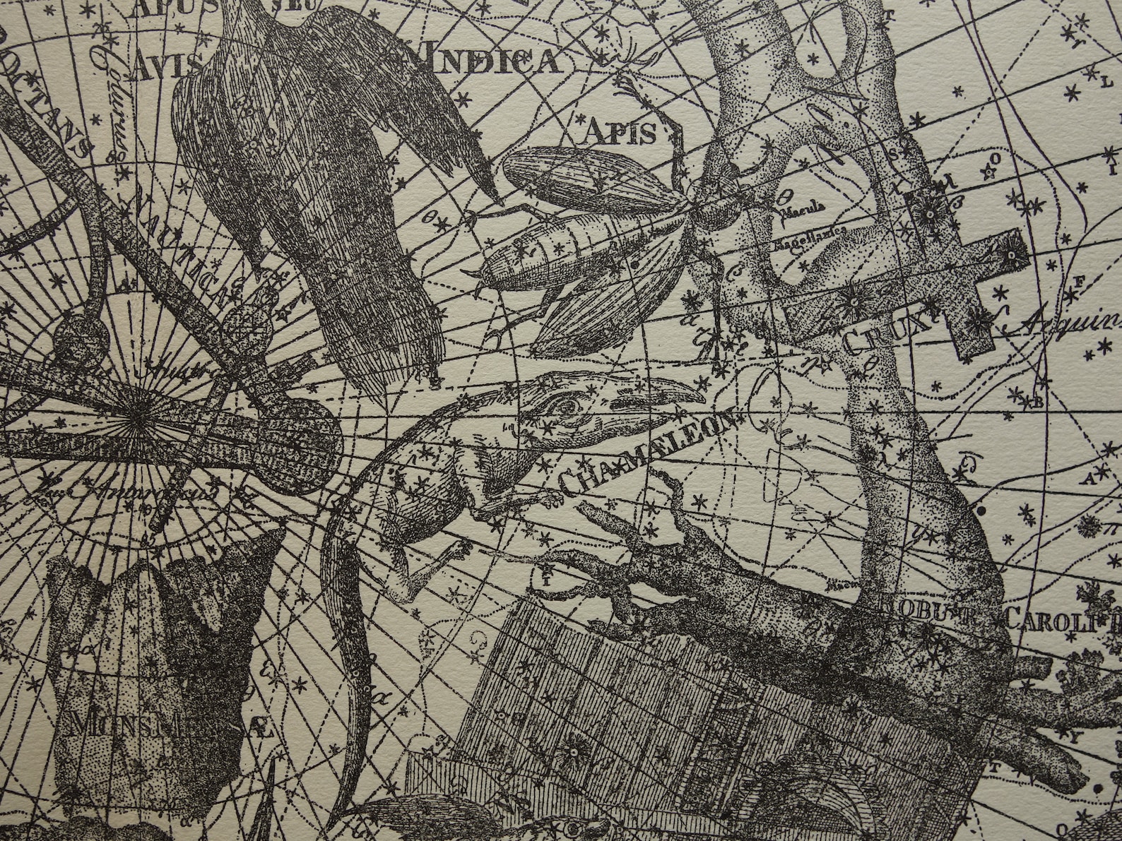 Antique ASTRONOMY Print Old Star Chart Vintage Astrology Map Poster of ...