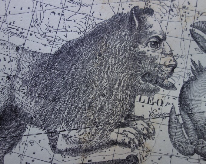 ASTROLOGY Antique Print Old Star Chart Vintage Astronomy - Etsy