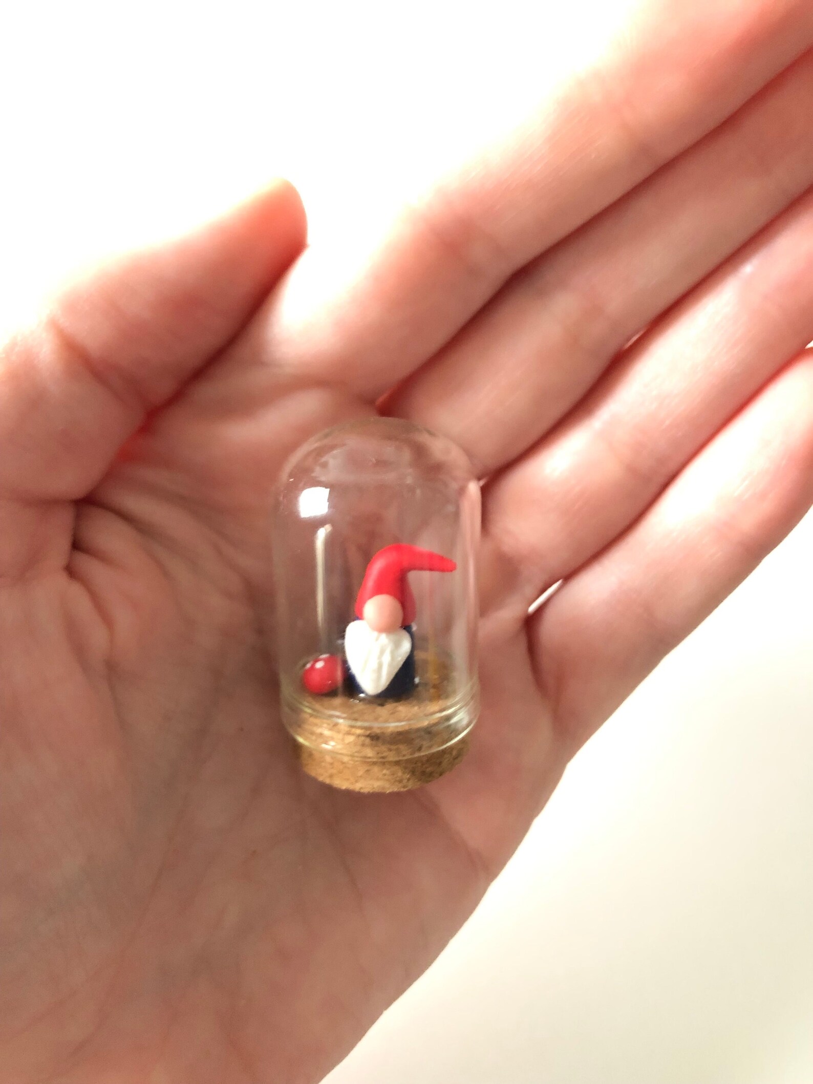 Gnome in a Dome/ Tiny Gnome/ Mini Gnome/ Fairy Garden/ Cute | Etsy