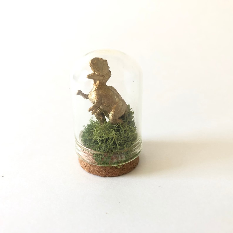 World’s Tiniest T Rex/ T Rex in a Dome/tiny T Rex/ Tiny Dino/micro Dino ...