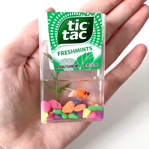 Miniature Aquarium - Etsy