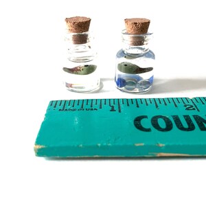 Tiny Tadpole in a Jar/ World's Tiniest Tadpole/ Tiny Tadpole/ Pet ...