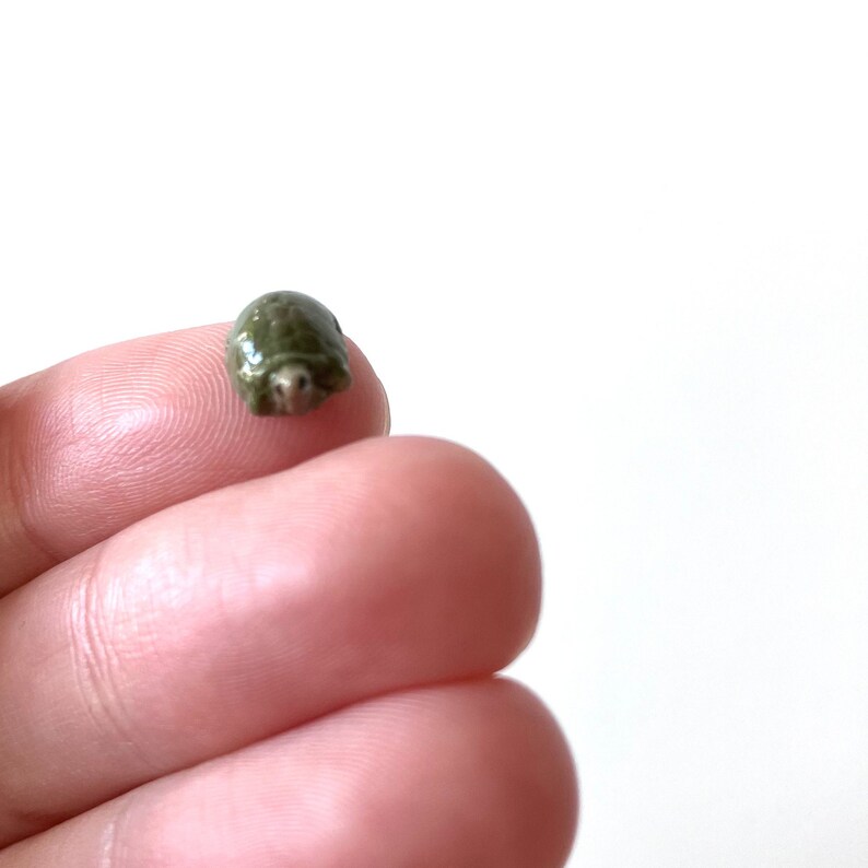 World's Tiniest Turtle/tiny Turtle/ Mini Turtle/ Micro - Etsy