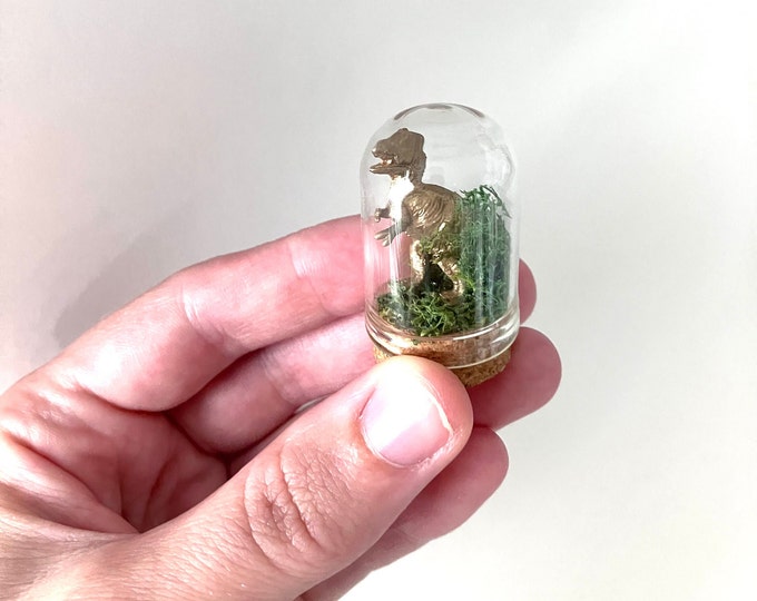 World’s Tiniest T Rex/ T Rex in a Dome/tiny T Rex/ Tiny Dino/micro Dino ...