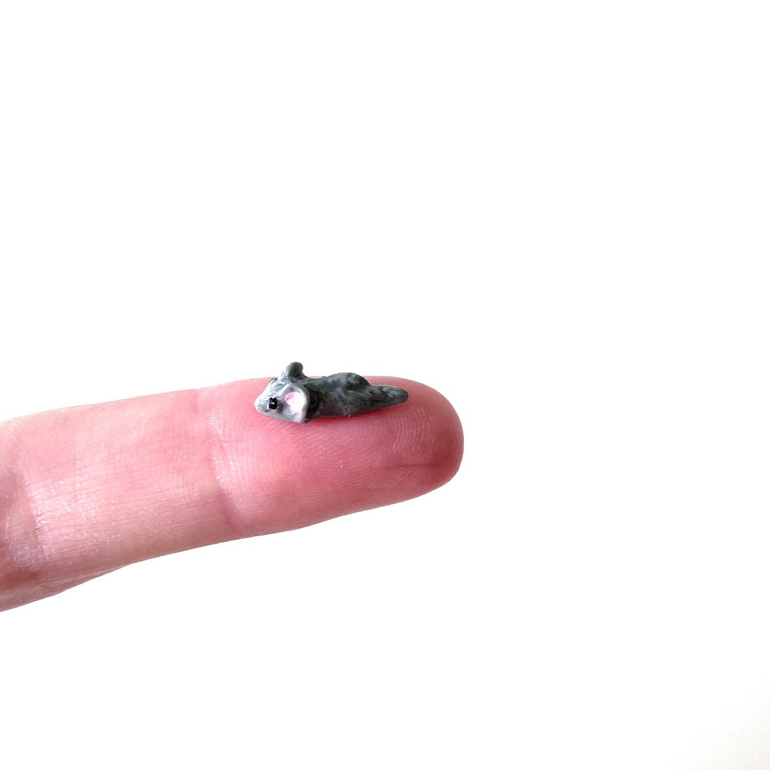 World’s Tiniest Mouse/ Tiny Mouse/ Tiny Mice/ Micro Mini Mouse/ Tiny ...