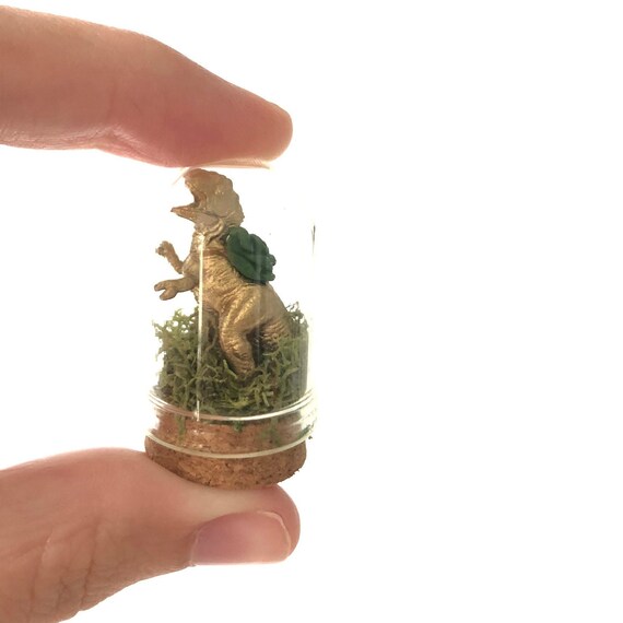 Worlds Tiniest T Rex/ T Rex in a Dome/t Rex Planter/ Tiny - Etsy